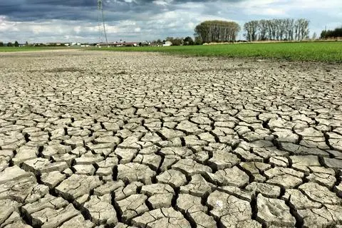 Trockenheit macht Landwirten auch in Bürstadt zu schaffen